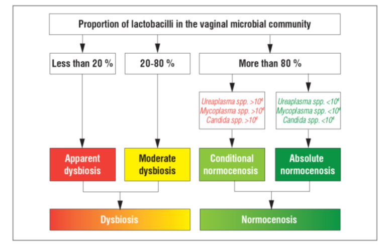FEMOFLOR® teszt: endometrium és vagina mikrobiom analízis RT-PCR-rel ...